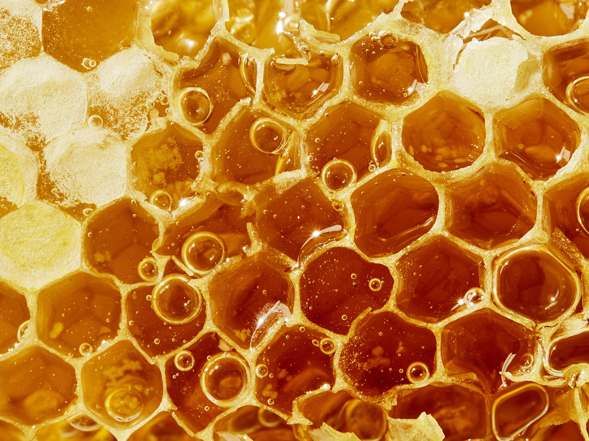 Om Honning - Honningcentralen